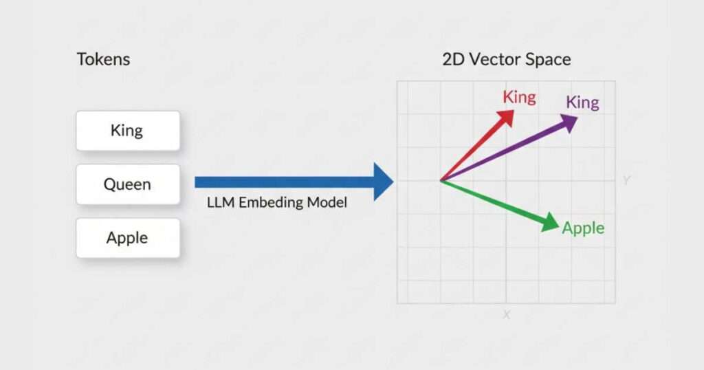 What Are LLM Embeddings? A Simple Explanation for Beginners